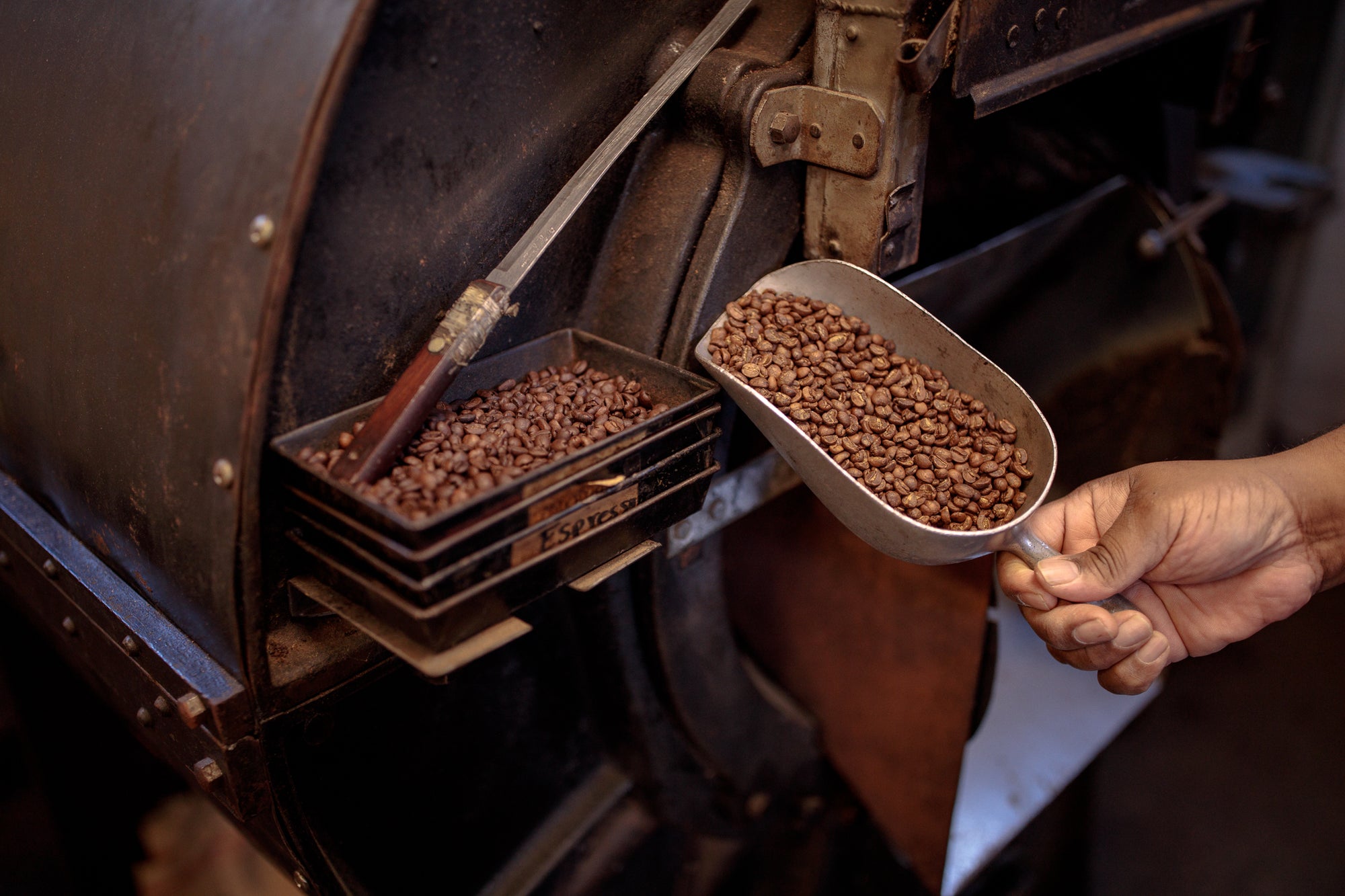 Try-Me Coffee Roasters